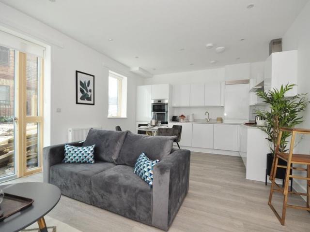 1 bedroom apartment to rent