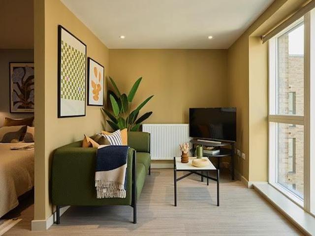 1 bedroom apartment to rent