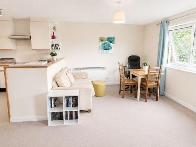 1 bedroom apartment to rent