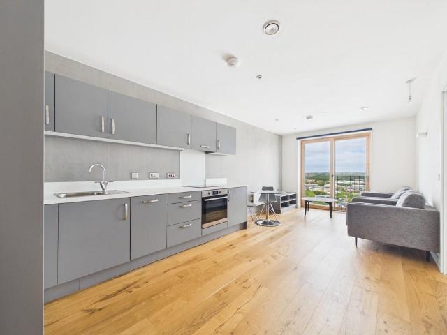 1 bedroom apartment to rent
