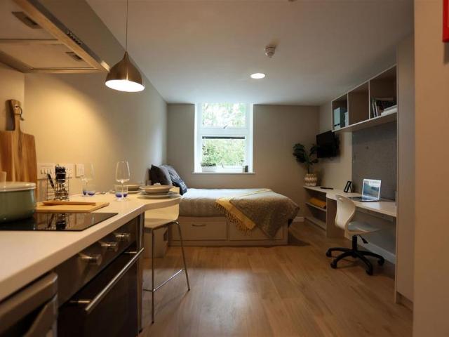 1 bedroom apartment to rent