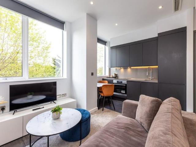 1 bedroom apartment to rent