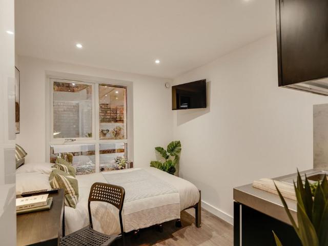 1 bedroom apartment to rent