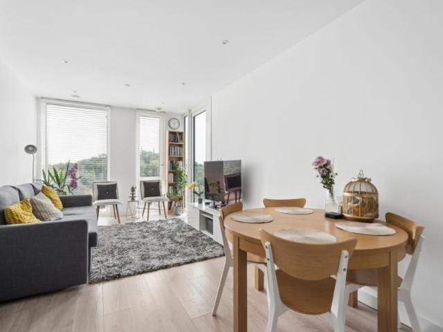 1 bedroom apartment to rent