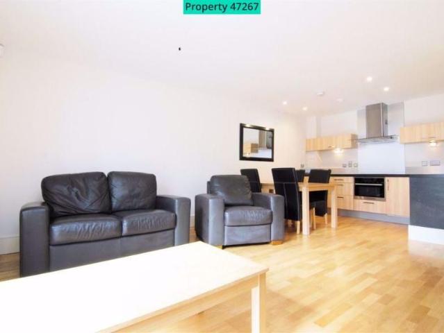 1 bedroom apartment to rent