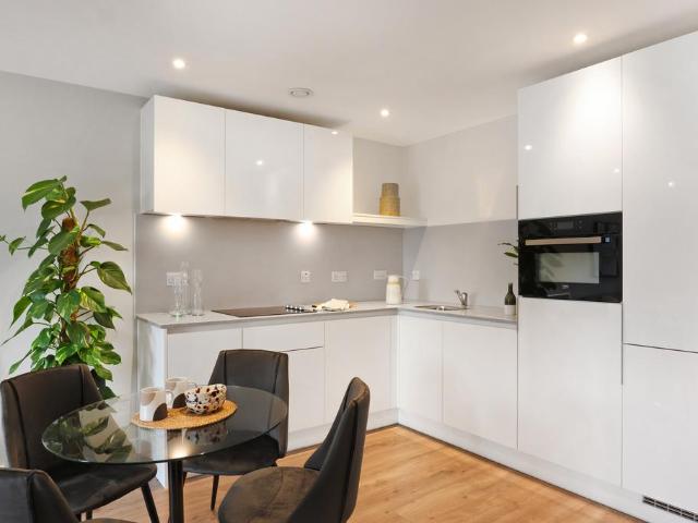 1 bedroom apartment to rent
