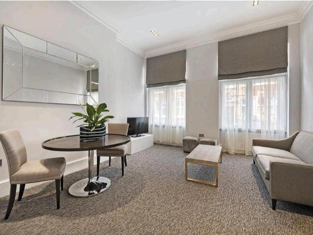 1 bedroom apartment to rent
