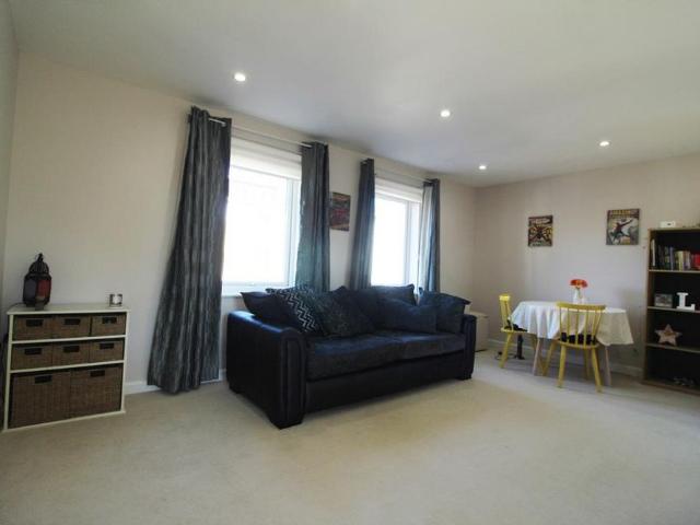 1 bedroom apartment to rent