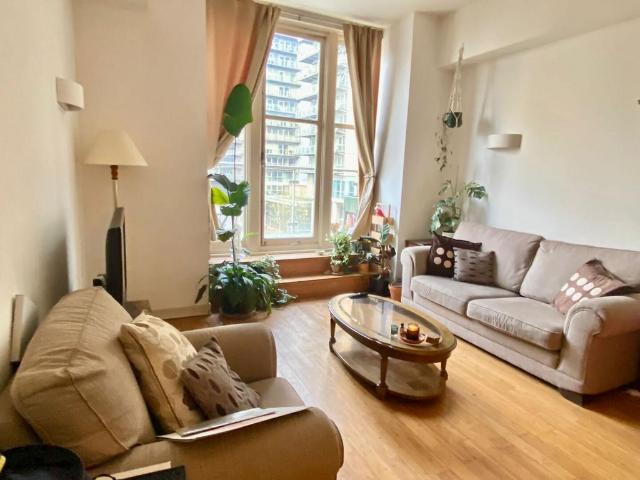 1 bedroom apartment to rent