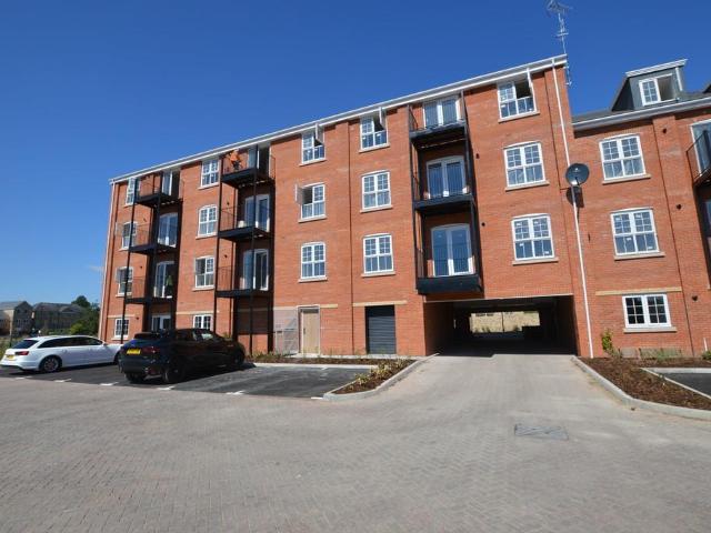 1 bedroom apartment to rent