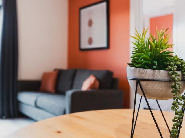 1 bedroom apartment to rent