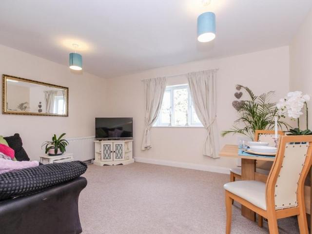 1 bedroom apartment to rent