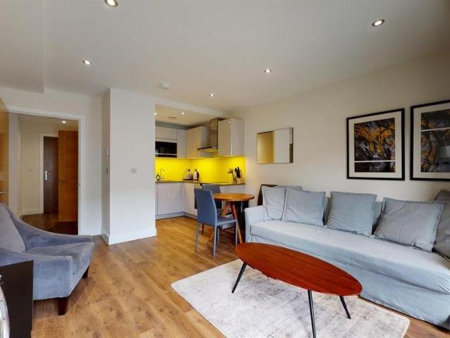 1 bedroom apartment to rent