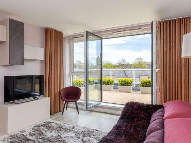 1 bedroom apartment to rent