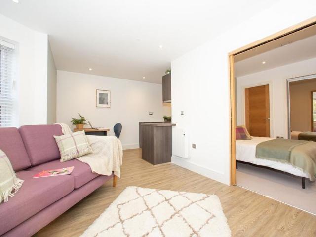 1 bedroom apartment to rent