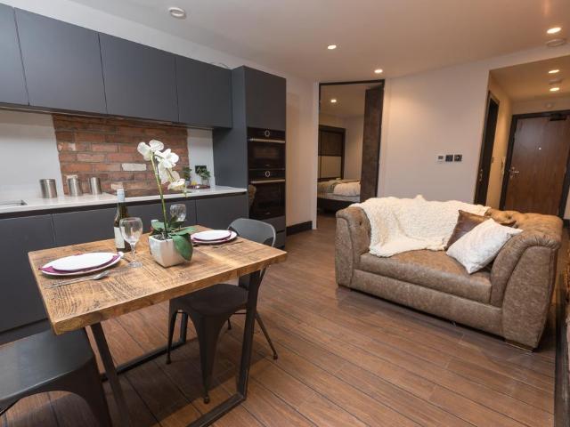 1 bedroom apartment to rent