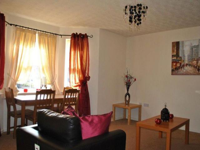 1 bedroom apartment to rent