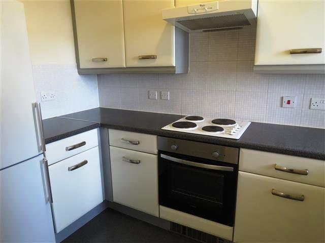 1 bedroom apartment to rent