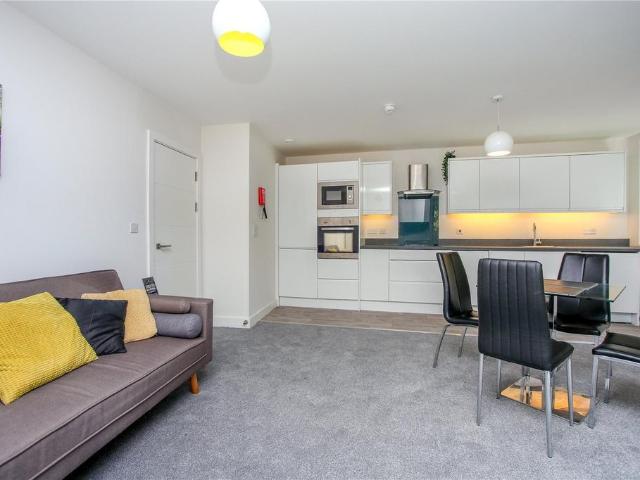 1 bedroom apartment to rent