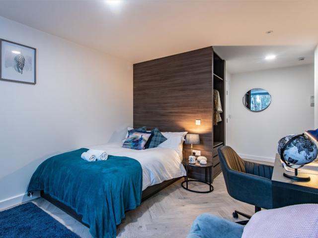 1 bedroom apartment to rent