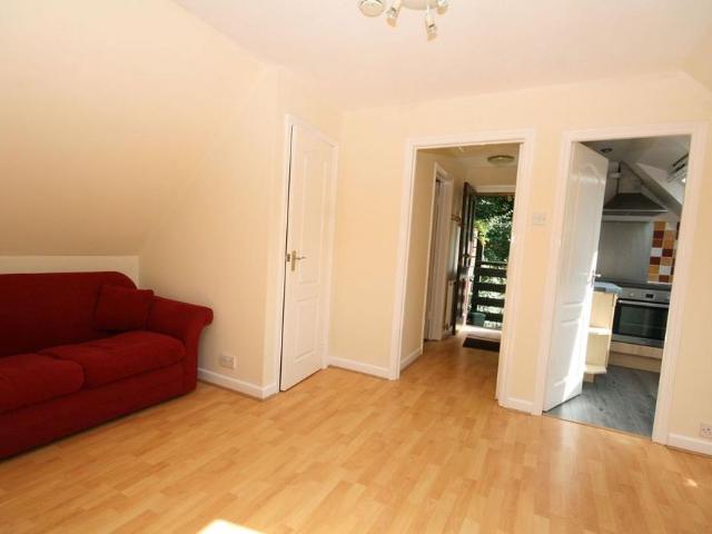 1 bedroom apartment to rent