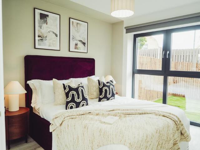 1 bedroom apartment to rent