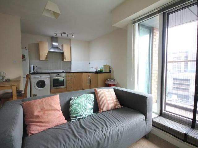 1 bedroom apartment to rent