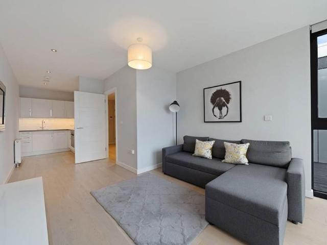 1 bedroom apartment to rent