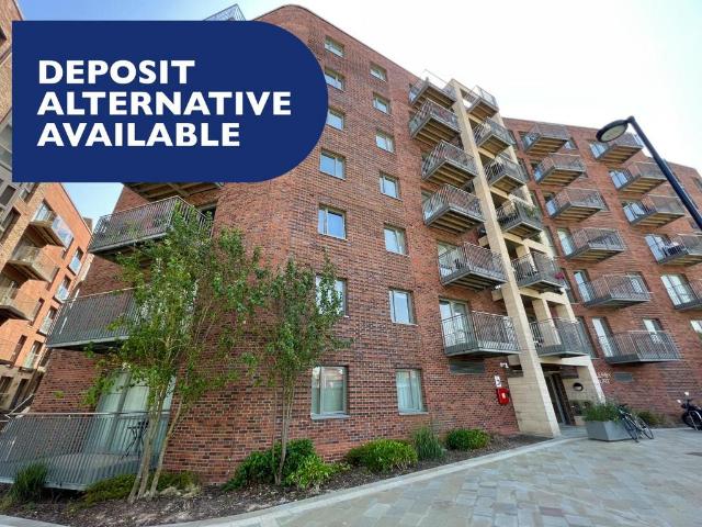 1 bedroom apartment to rent