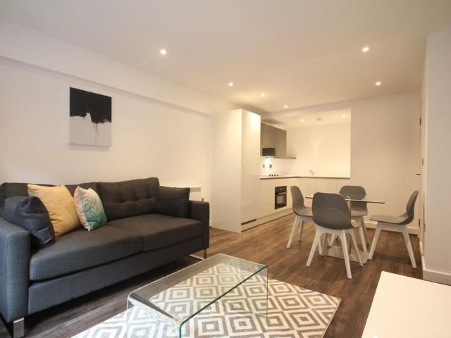 1 bedroom apartment to rent