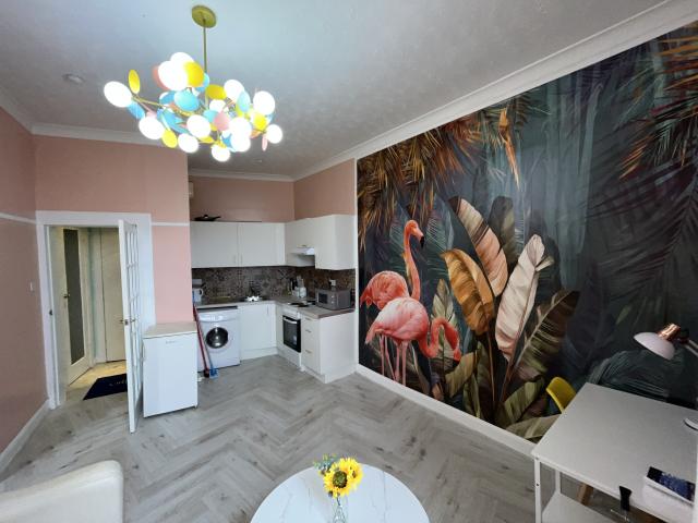 1 bedroom apartment to rent