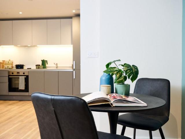 1 bedroom apartment to rent