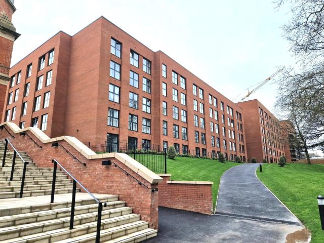 1 bedroom apartment to rent