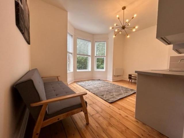 1 bedroom apartment to rent