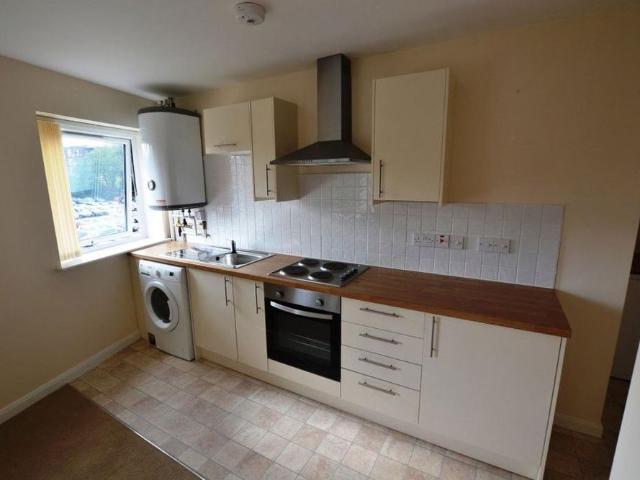 1 bedroom apartment to rent