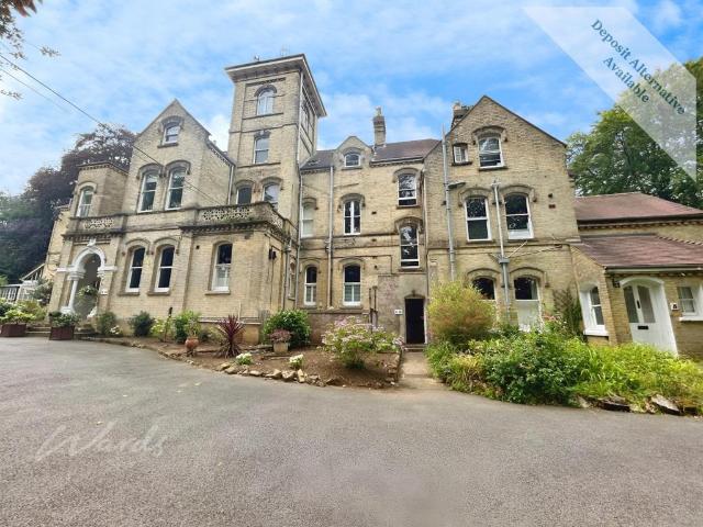 1 bedroom apartment to rent