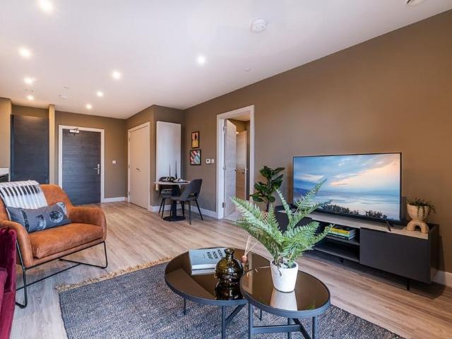 1 bedroom apartment to rent