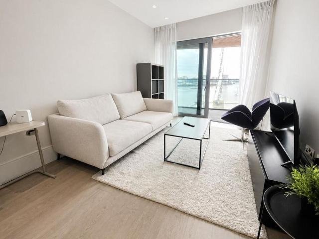 1 bedroom apartment to rent