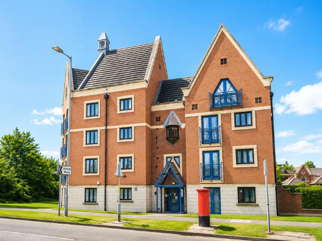 1 bedroom apartment to rent