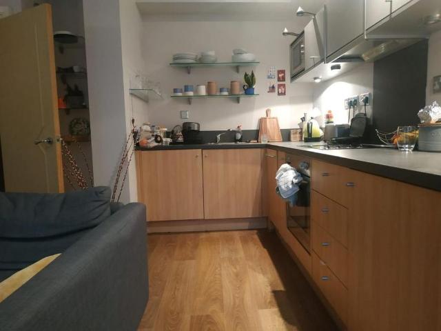 1 bedroom apartment to rent