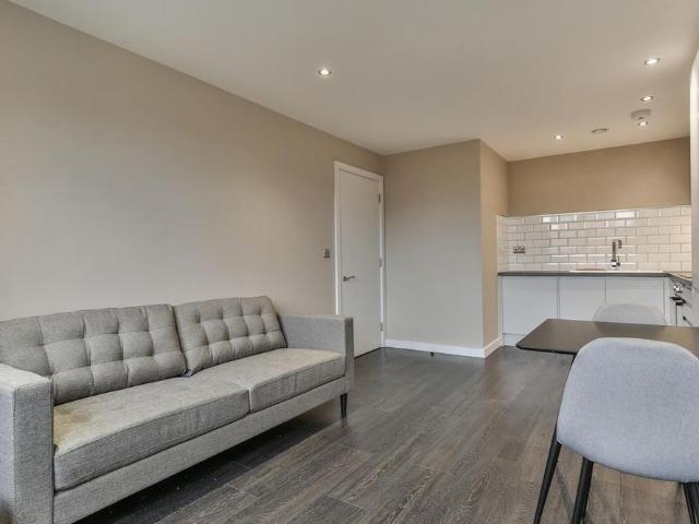 1 bedroom apartment to rent