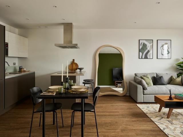 1 bedroom apartment to rent