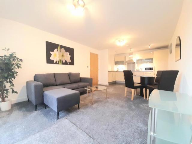 1 bedroom apartment to rent