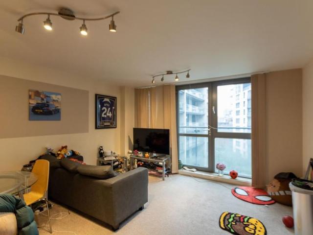 1 bedroom apartment to rent