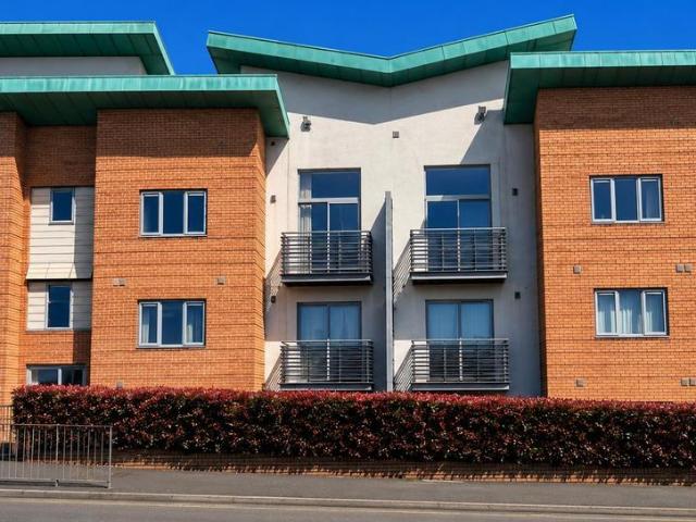 1 bedroom apartment to rent