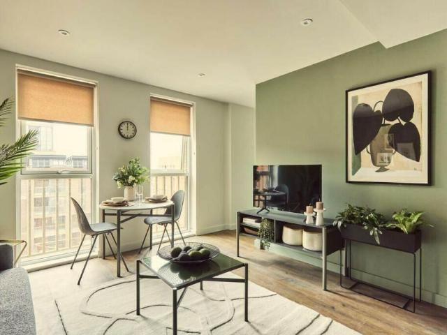 1 bedroom apartment to rent