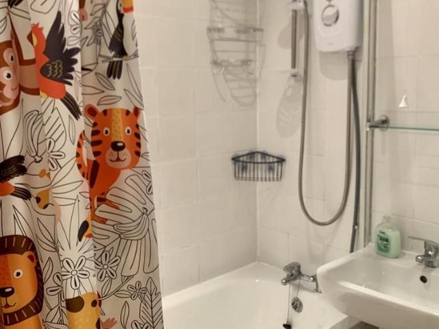 1 bedroom apartment to rent
