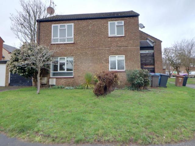 1 bedroom apartment to rent