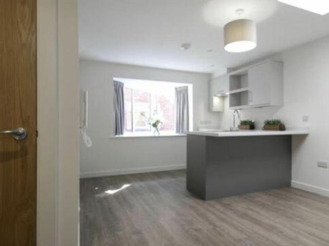 1 bedroom apartment to rent