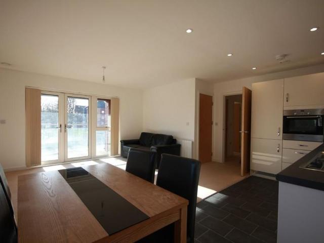 1 bedroom apartment to rent